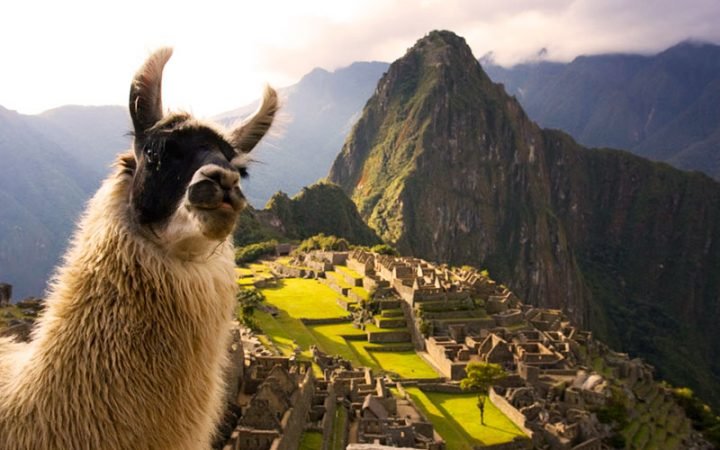 Machu Picchu - La Maravilla del Mundo
